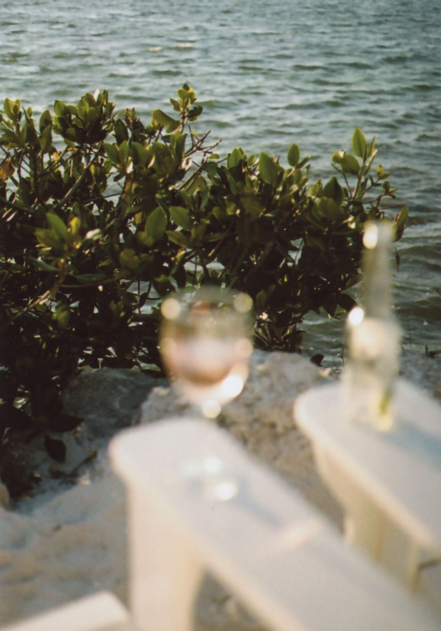 Olivia Rae James with the Contax G2 — Film Objektiv