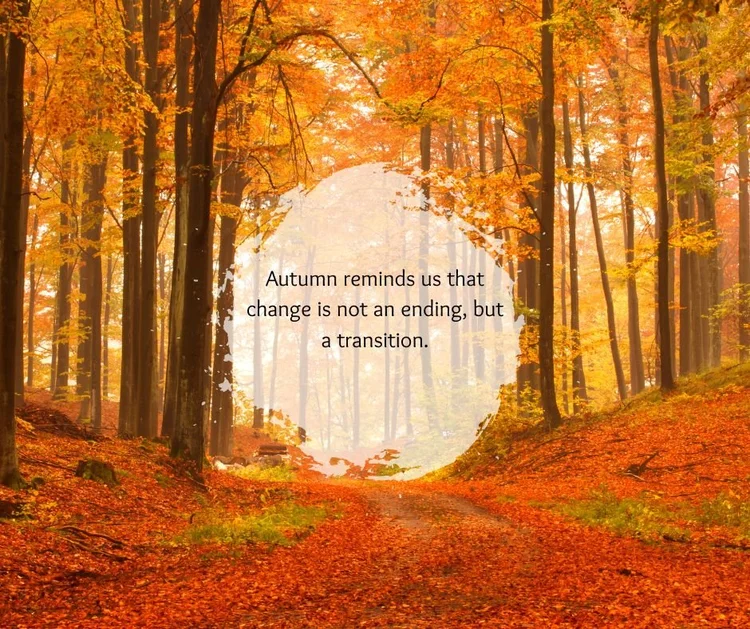 Blog — Sharon Fitzmaurice