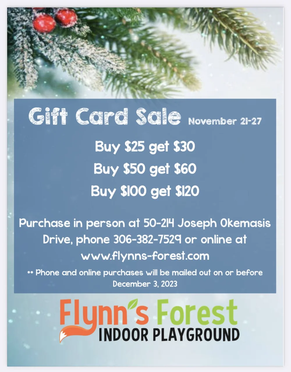 Flynn's Gift Cards — Flynn's Forest Indoor Playground
