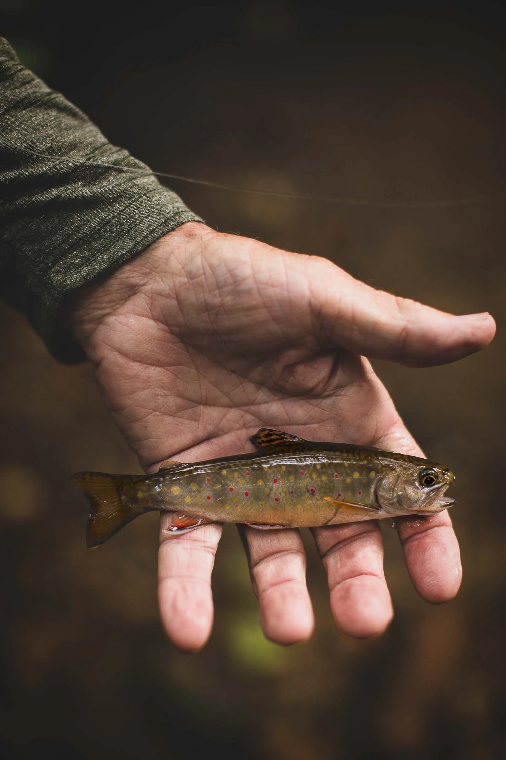 Sporting Lifestyle — Commercial Photographer | David Cannon Photography