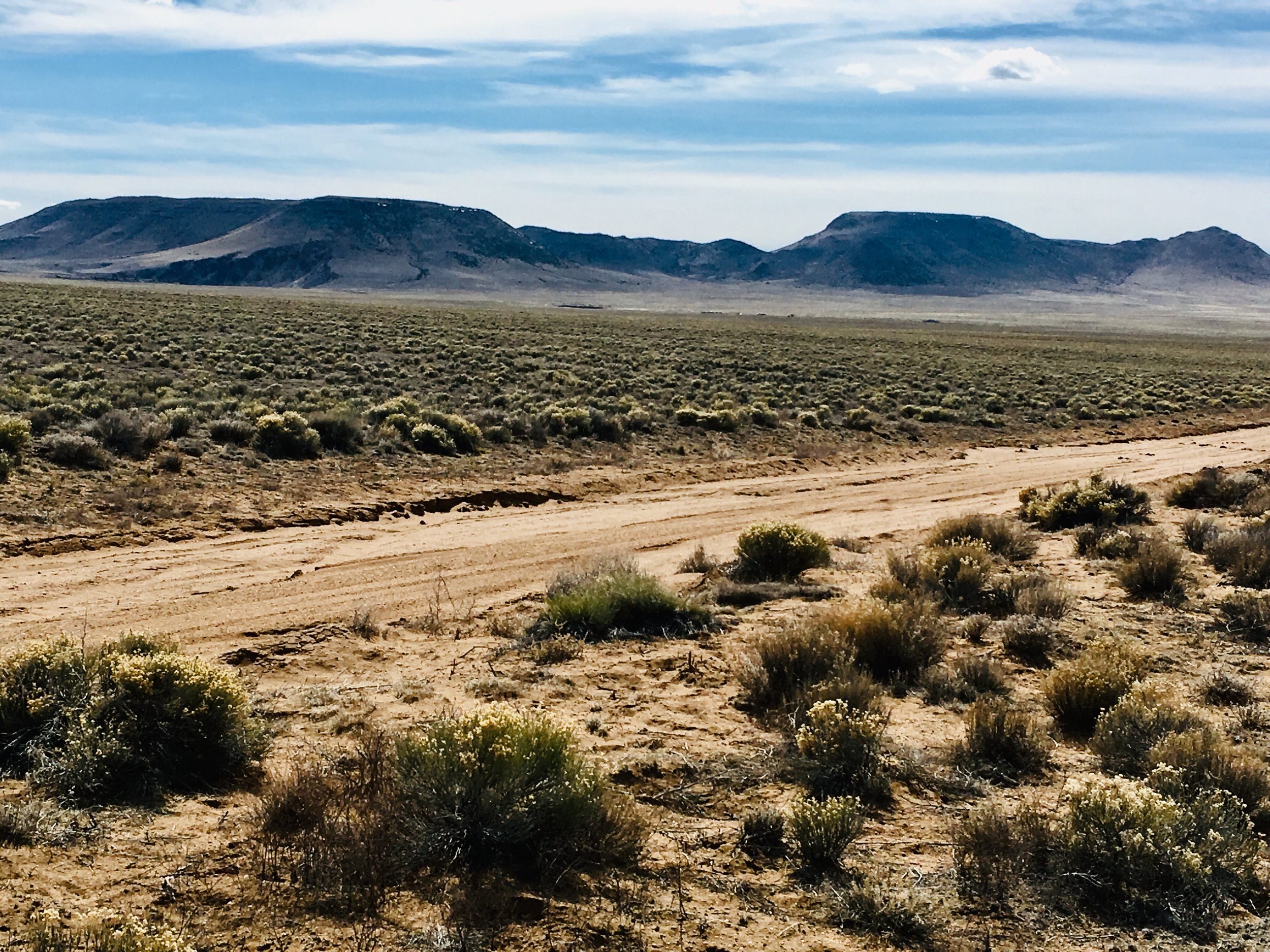 SOLD LISTINGS — The Land Box