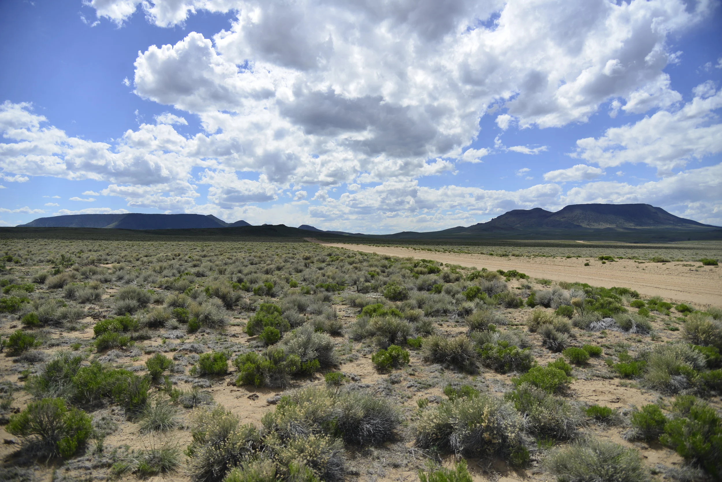 Listings — The Land Box