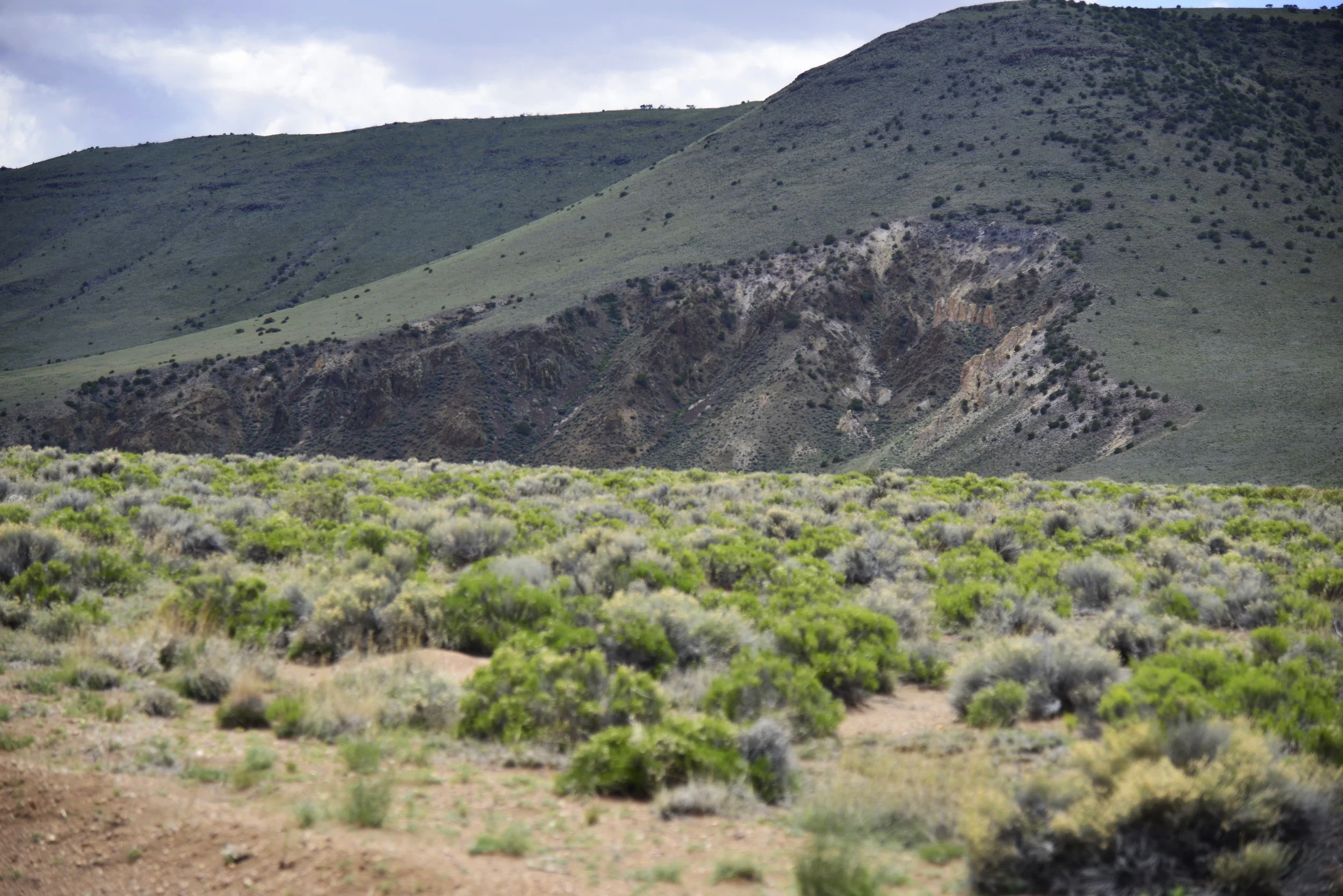 Listings — The Land Box