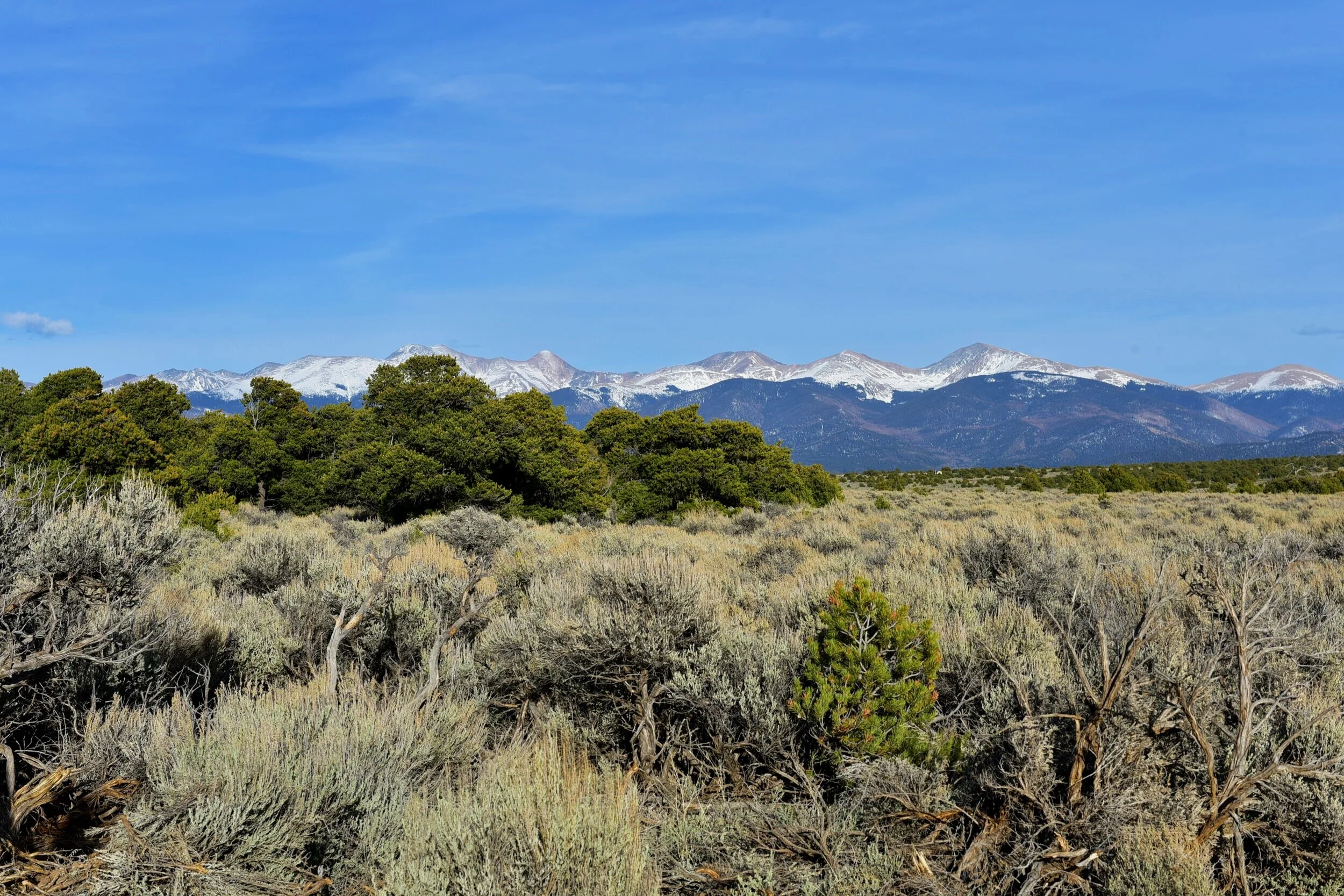 Listings — The Land Box