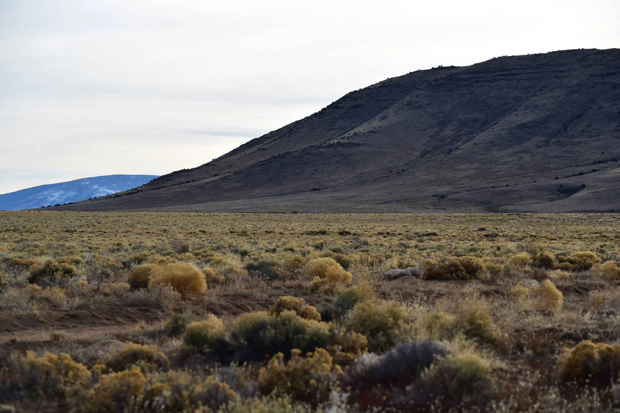 RECENTLY SOLD LISTINGS — The Land Box