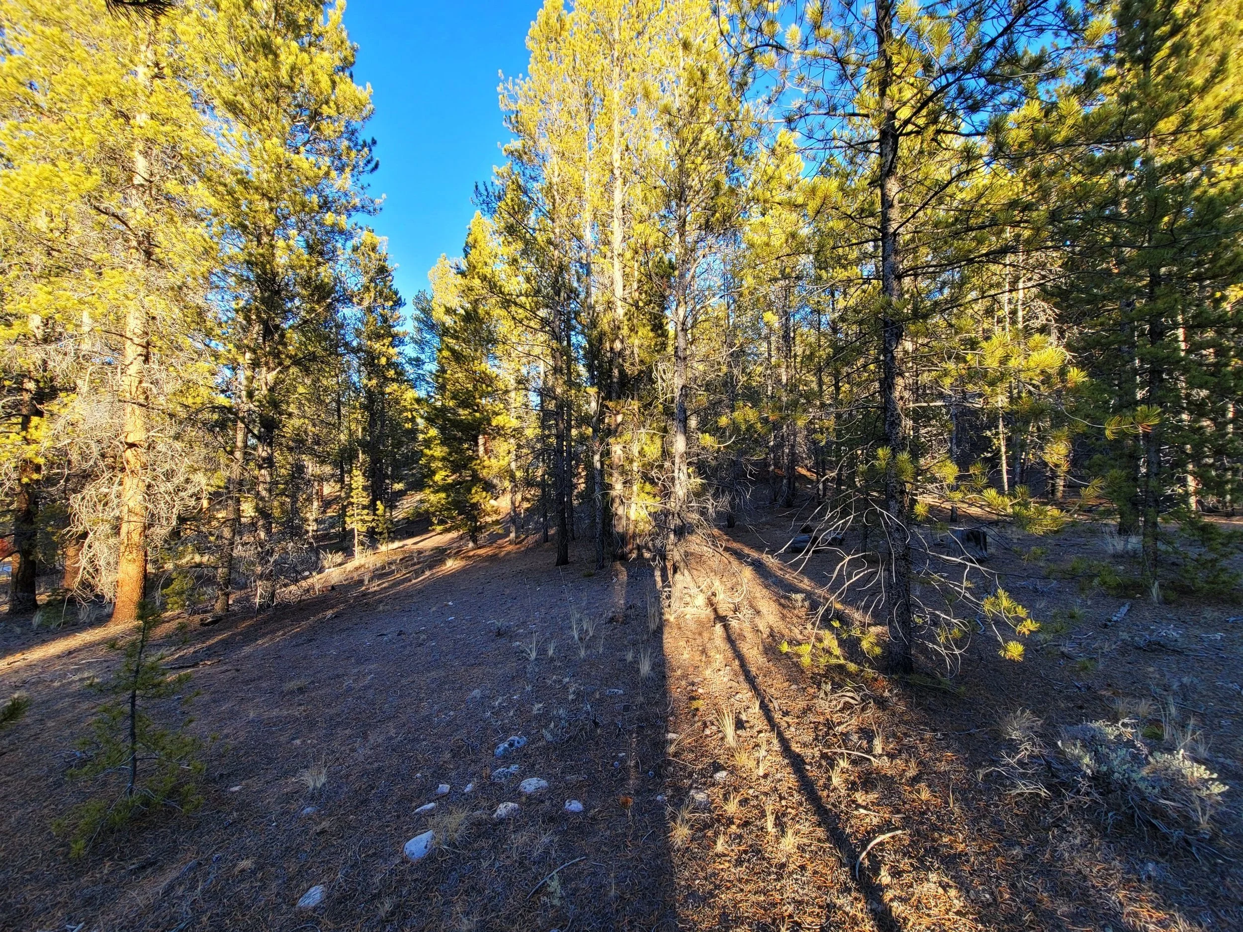 RECENTLY SOLD LISTINGS — The Land Box