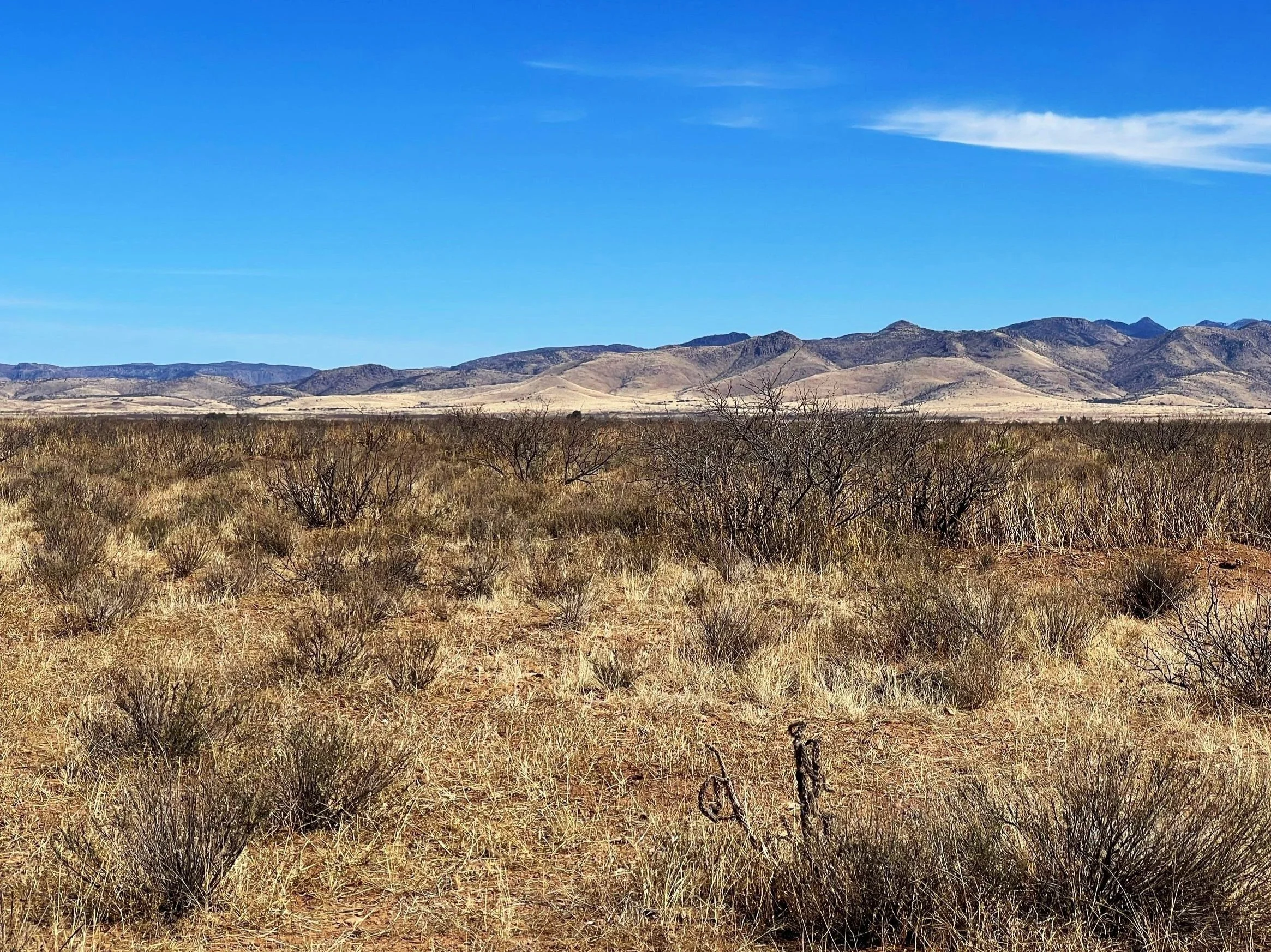 LISTINGS — The Land Box