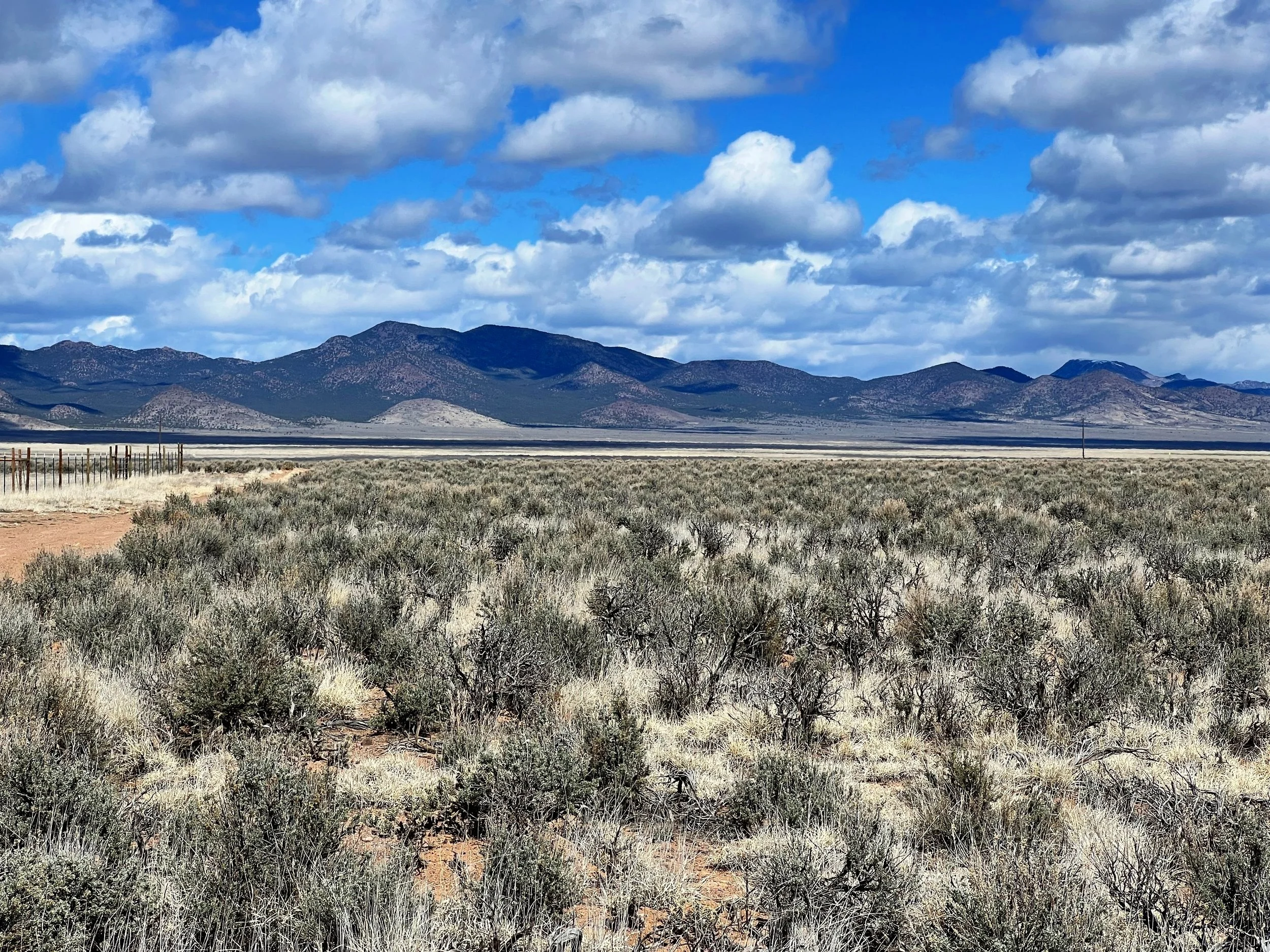 Listings — The Land Box