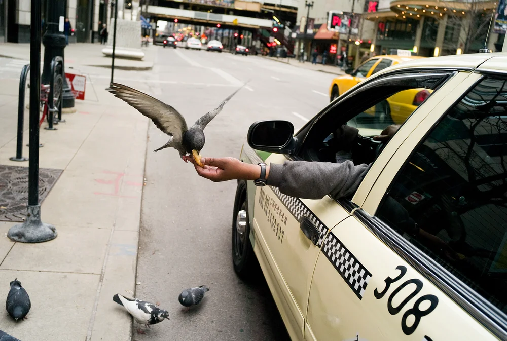 Photographs — John Maloof