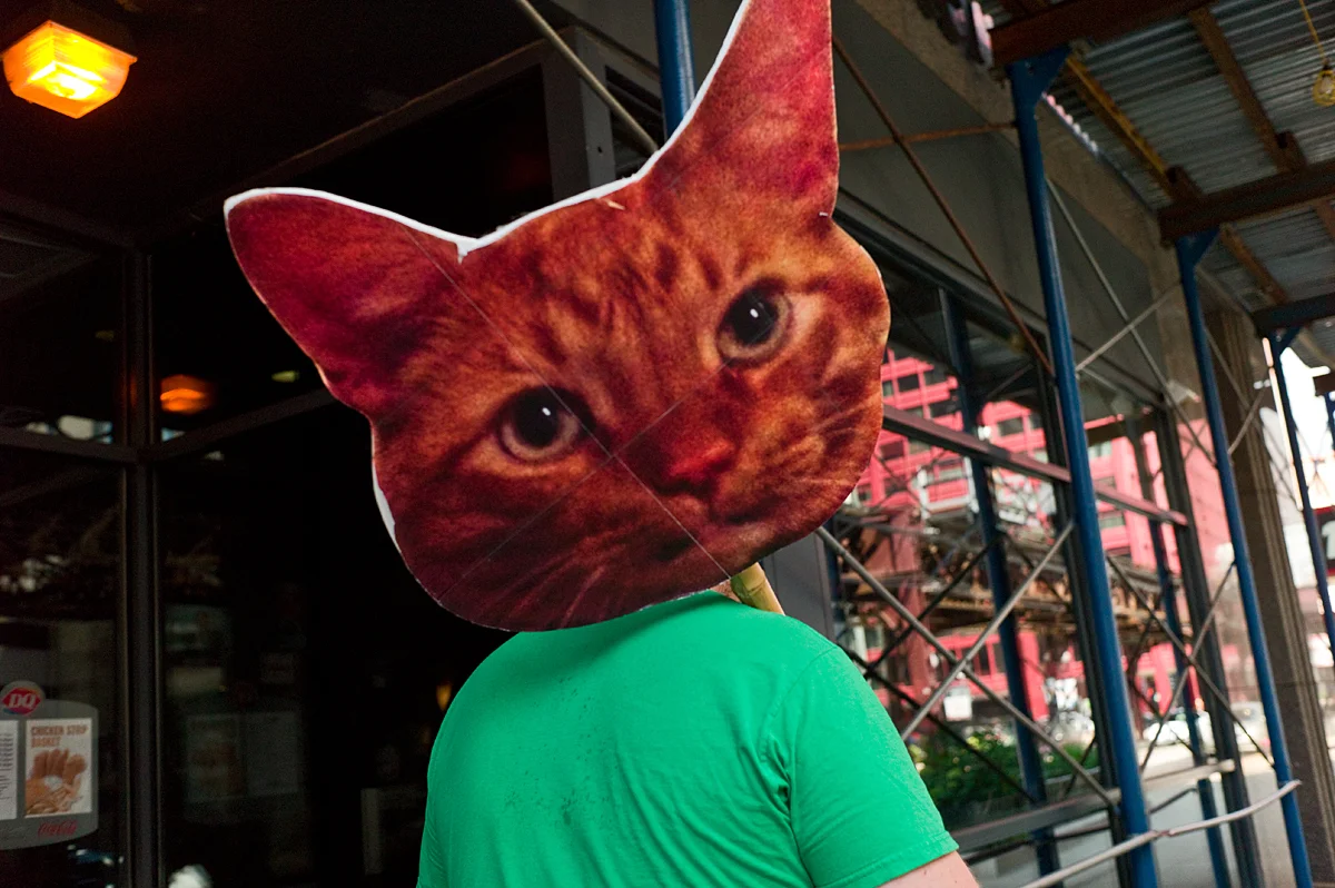 Photographs — John Maloof