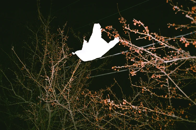 Photographs — John Maloof