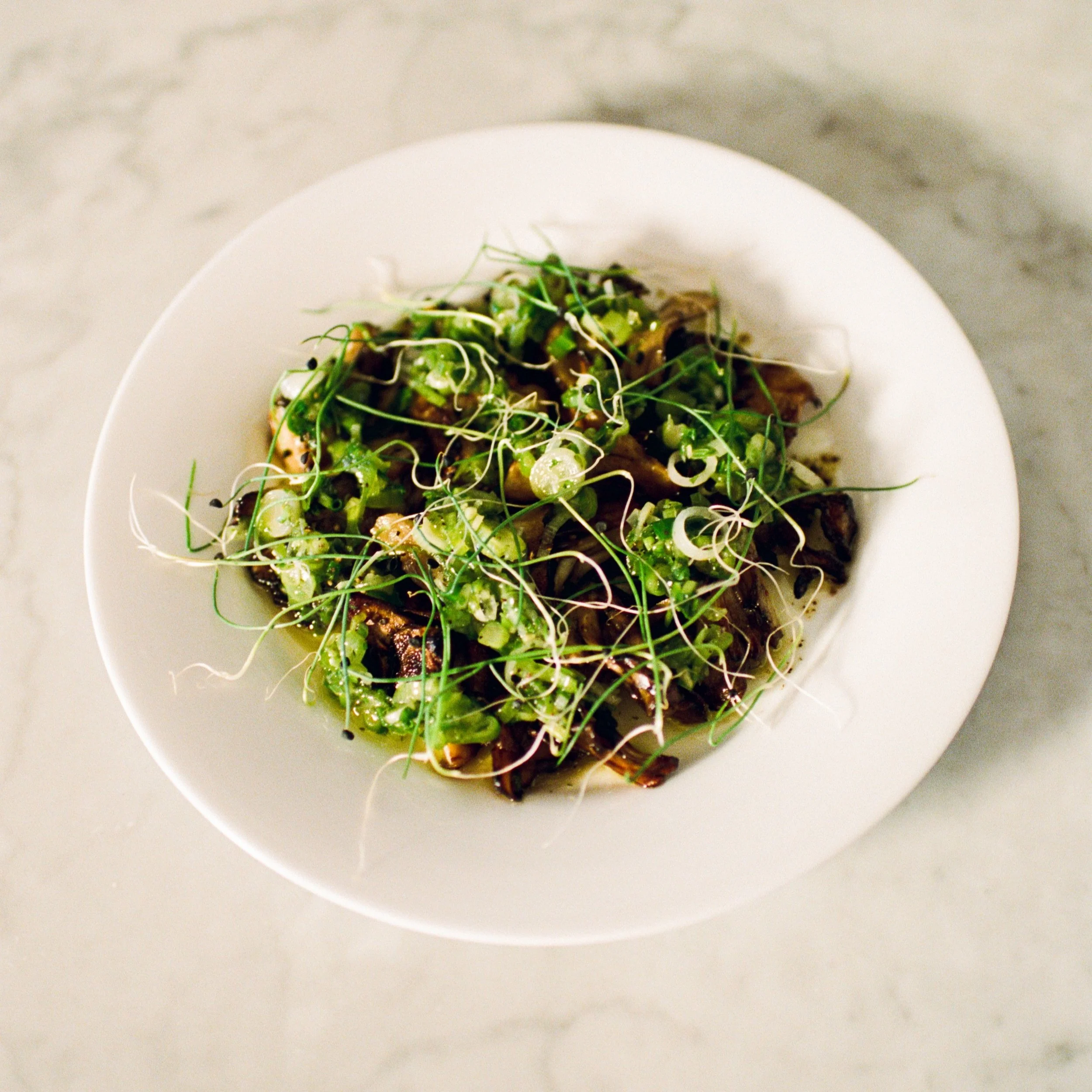 Vern's — The Southern Fork