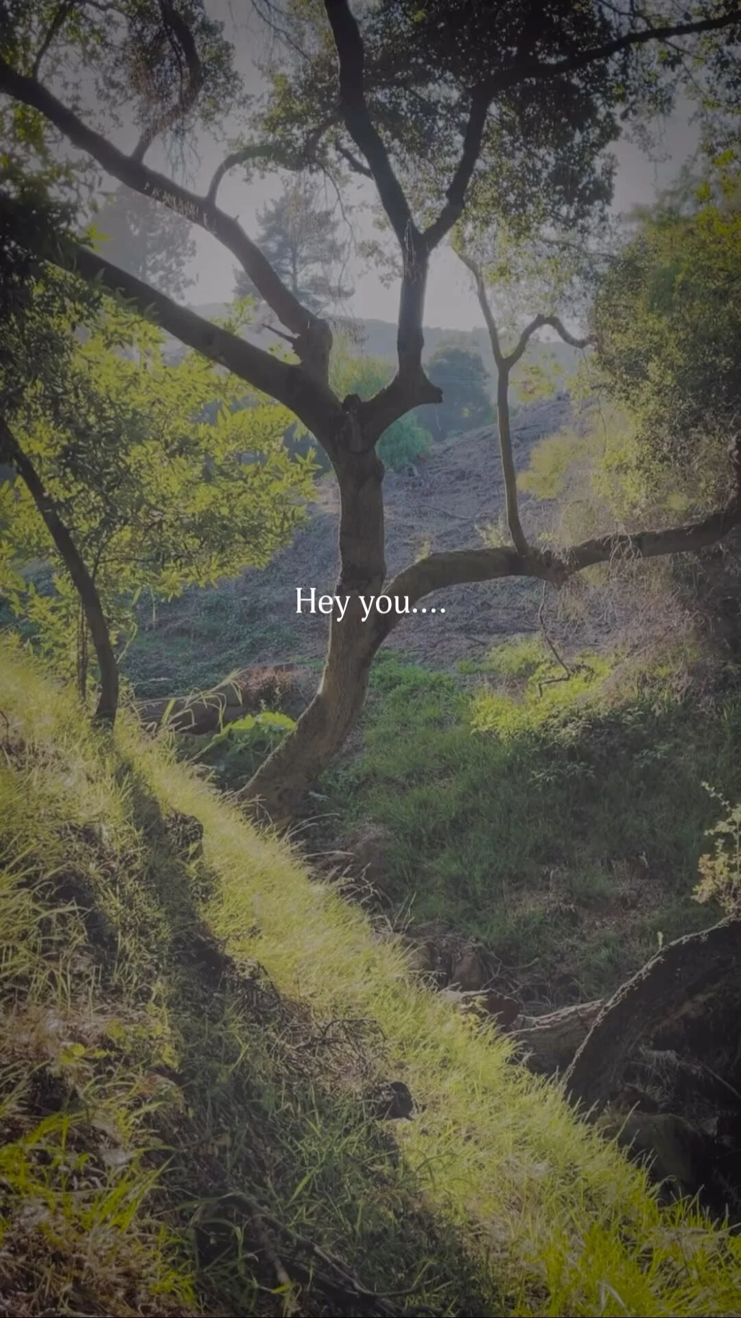 Scott Robson Business Coaching for Courageous Entrepreneurs