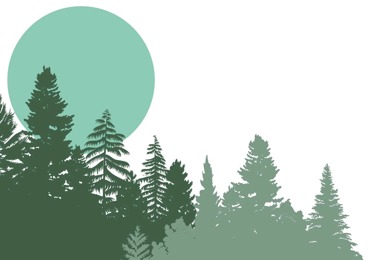 Scott Robson, Certified Business Coach for Entrepreneurs