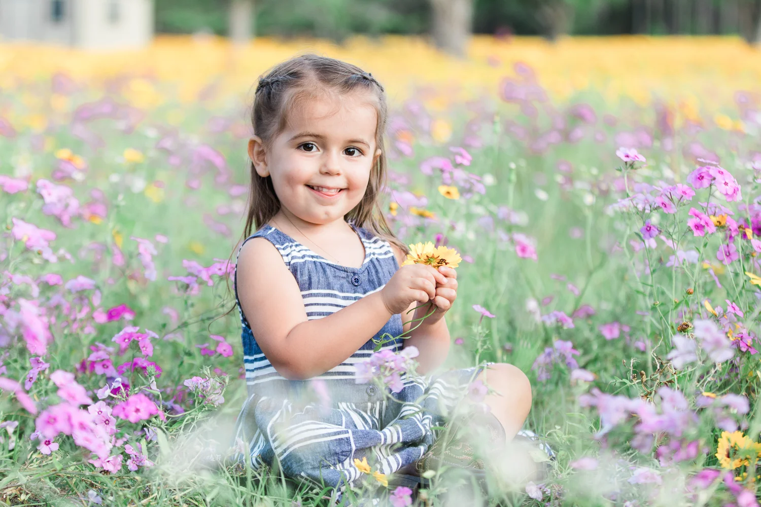 Family session in the flower field {Jacksonville and Ponte Vedra family ...
