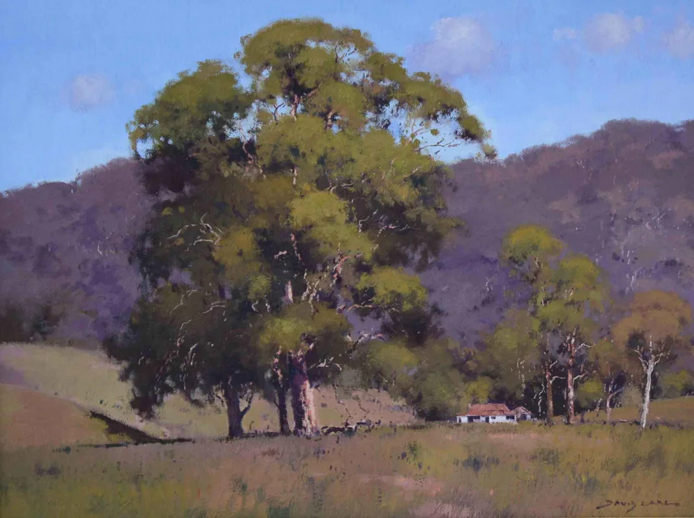 David Lake FRAS — Royal Art Society of NSW
