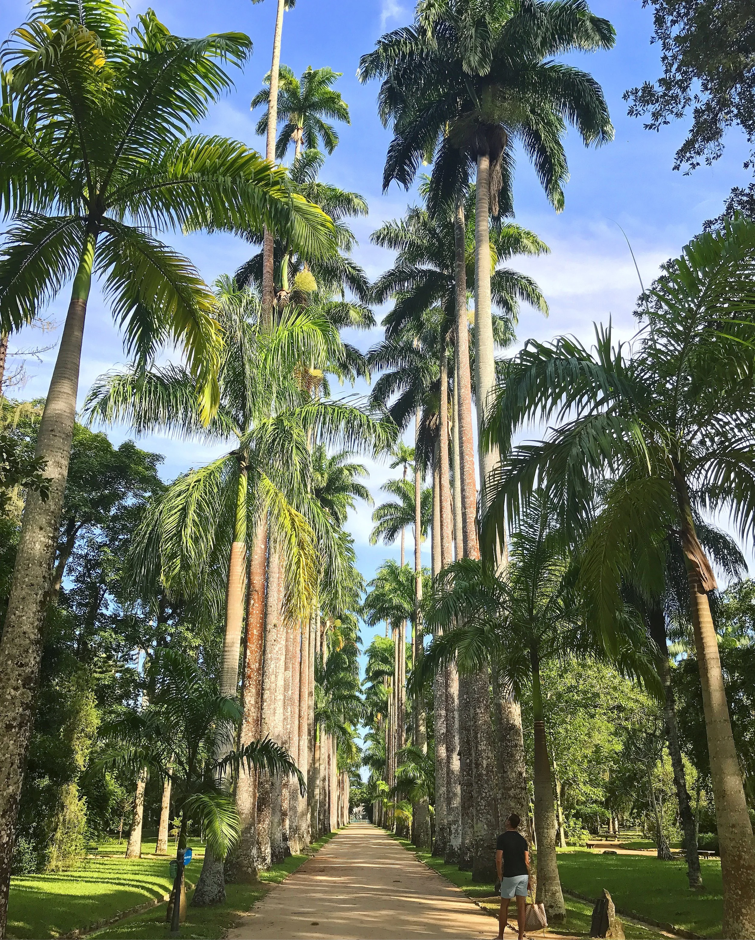 TRAVEL GUIDE: RIO DE JAINERO — THE GLOWTROTTER