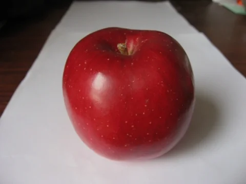 Opalescent — Out on a Limb Apples