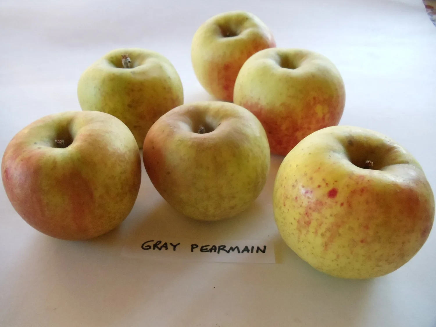 Orchard Blog — Out on a Limb Apples