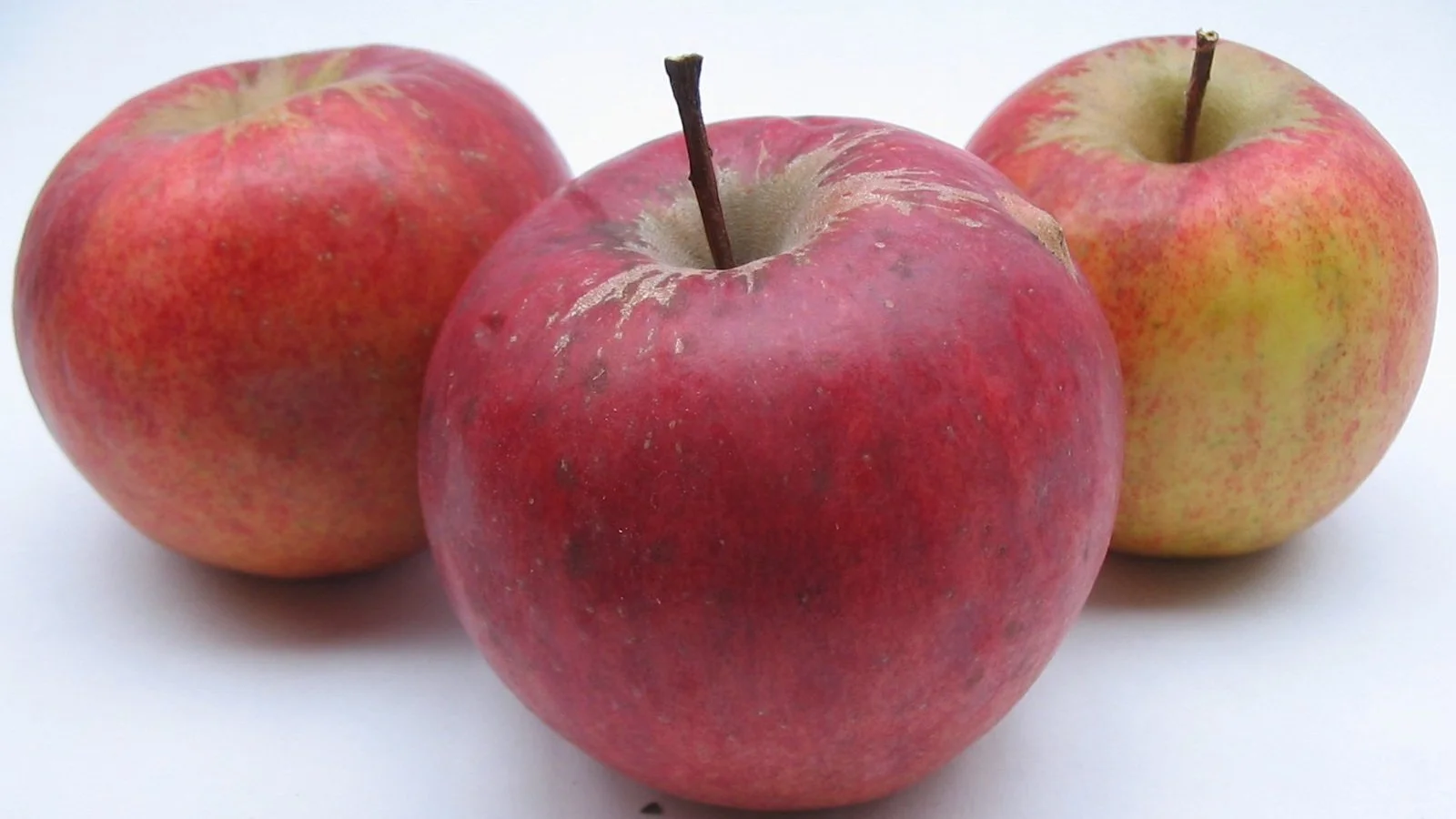 Ben Davis — Out on a Limb Apples