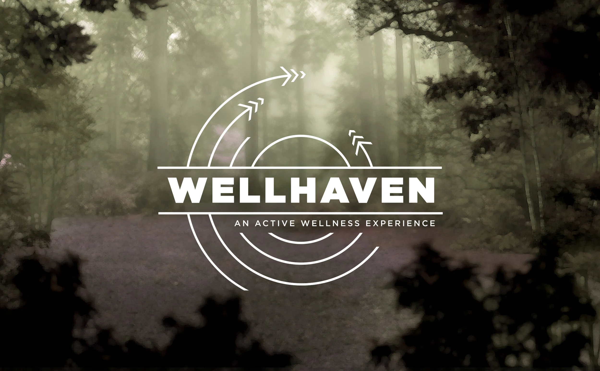 WELLHAVEN — SIGNIFY DESIGN