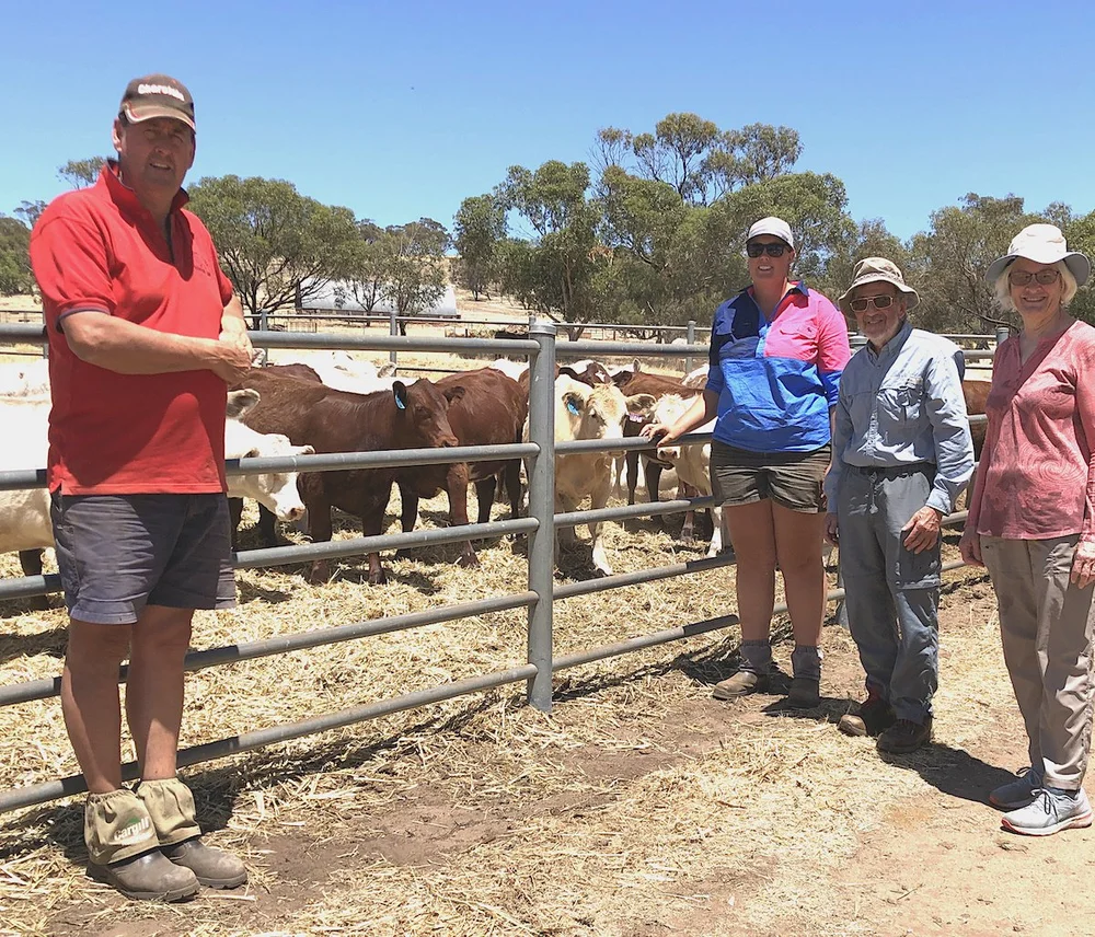 The Shorthorn Bulletin