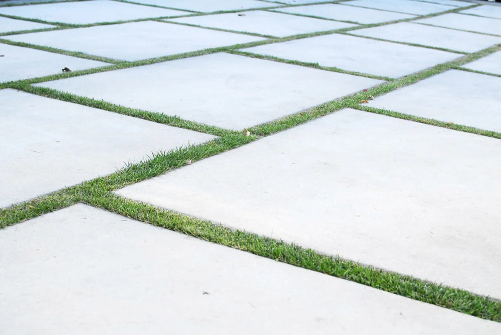 Hidden Garden — Barker Evans Landscape Architecture