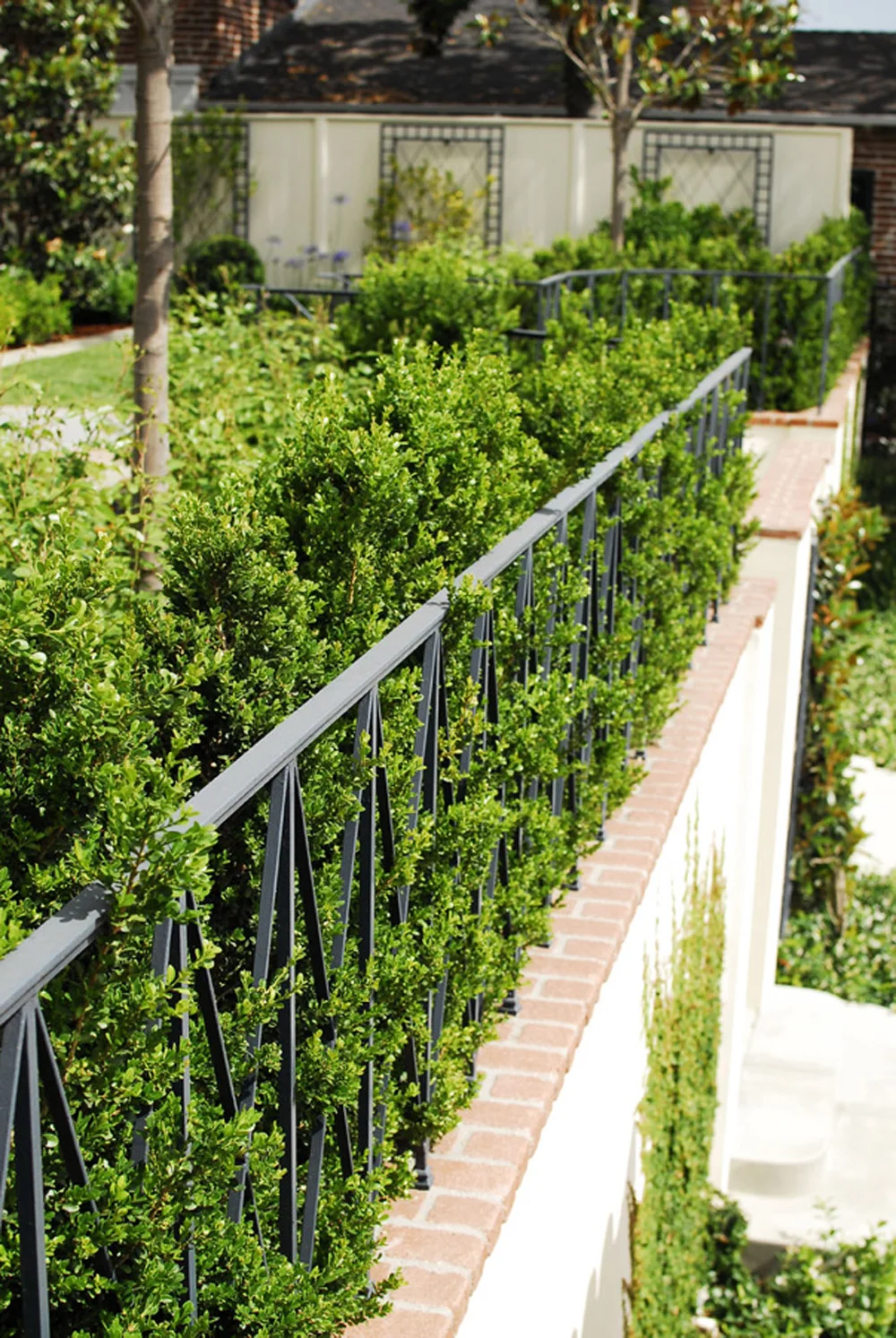 Hidden Garden — Barker Evans Landscape Architecture