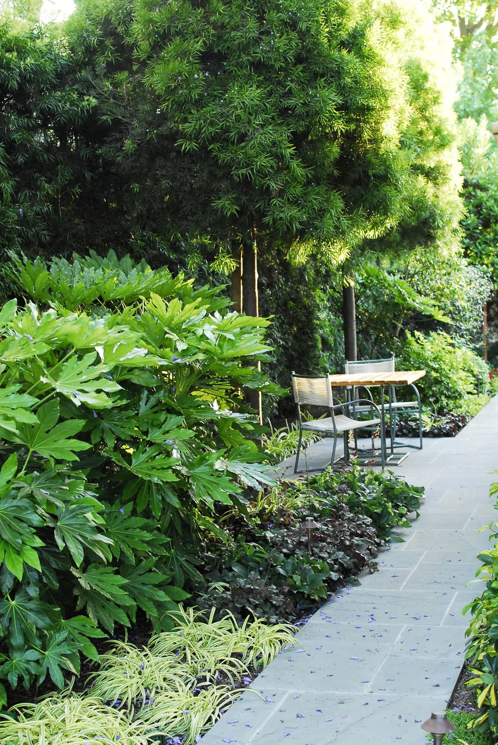 Hidden Garden — Barker Evans Landscape Architecture