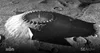 Space Exploration Architecture