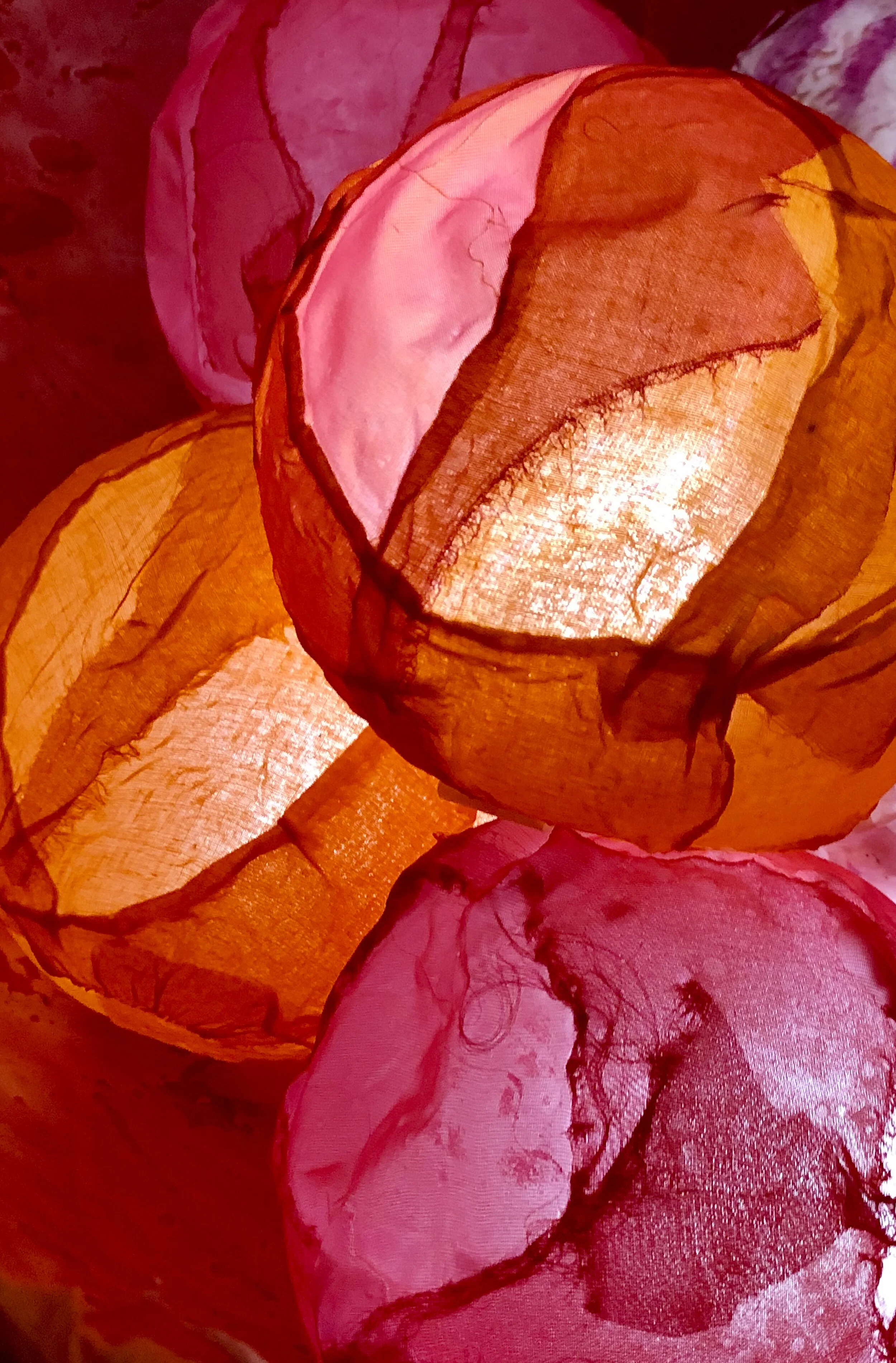 C. V. — Carol Reed