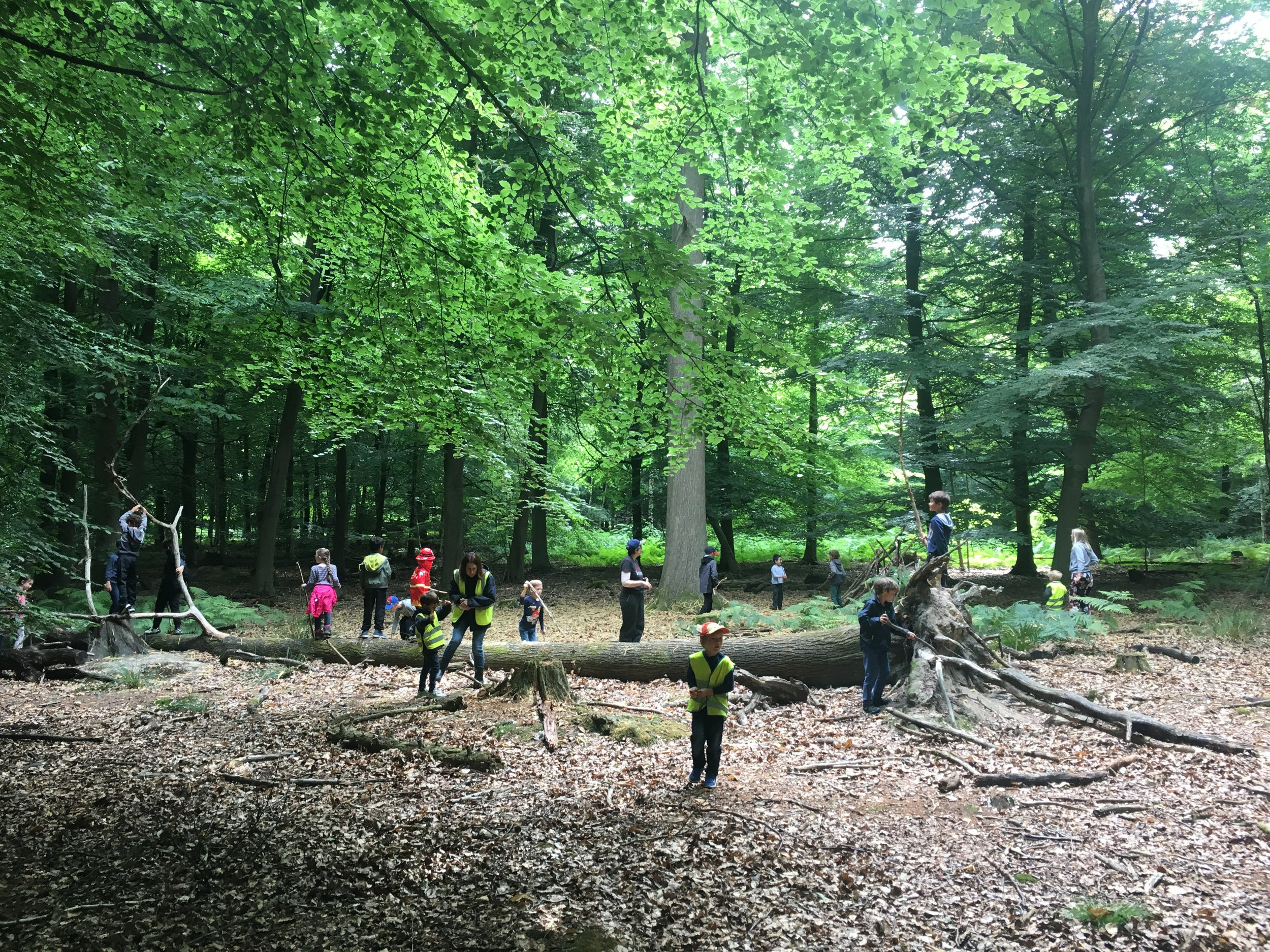 Forest School | The King's House School, Windsor