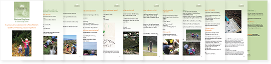 Publications — Daisies