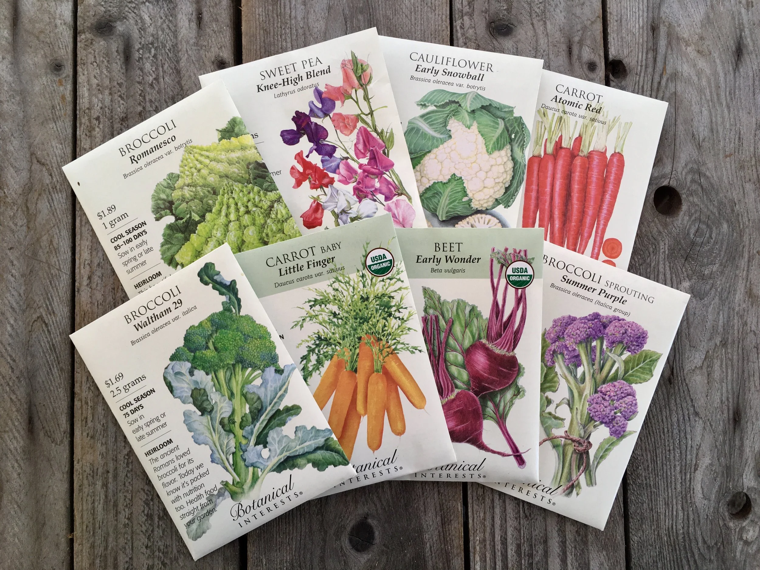 Time To Plant Your Winter Veggie Seeds! - Orchard Nursery