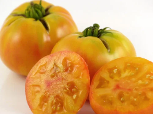 Super Dwarf Tomatoes