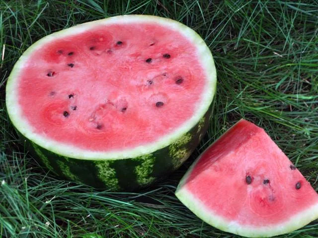 Grow Your Own: Watermelons! - Orchard Nursery