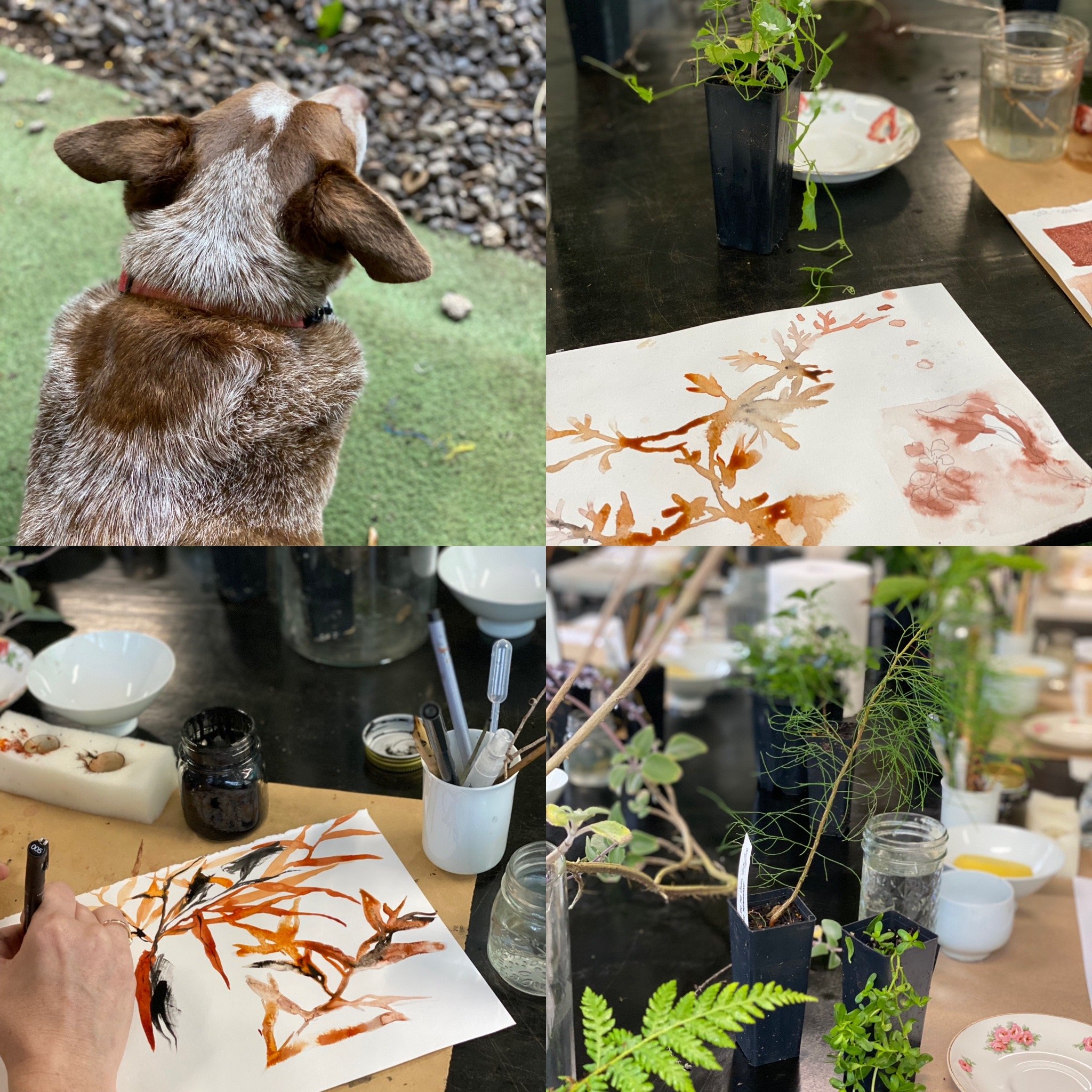 workshops — art + nature
