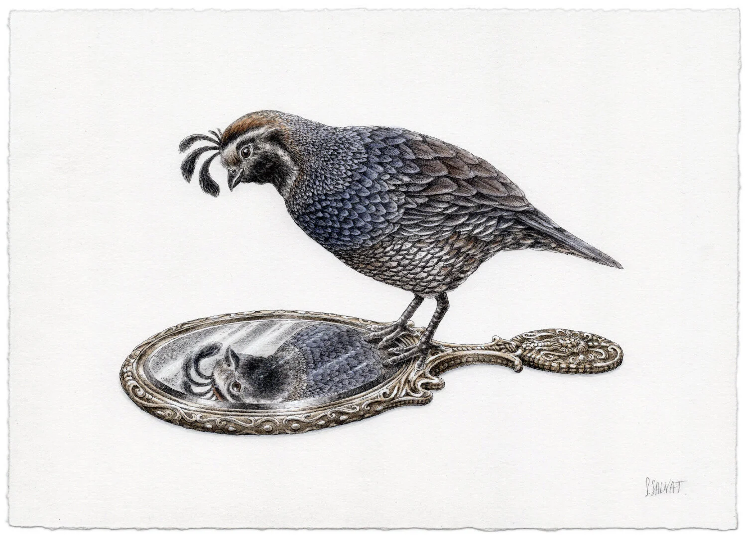 2020 — STEEVEN SALVAT