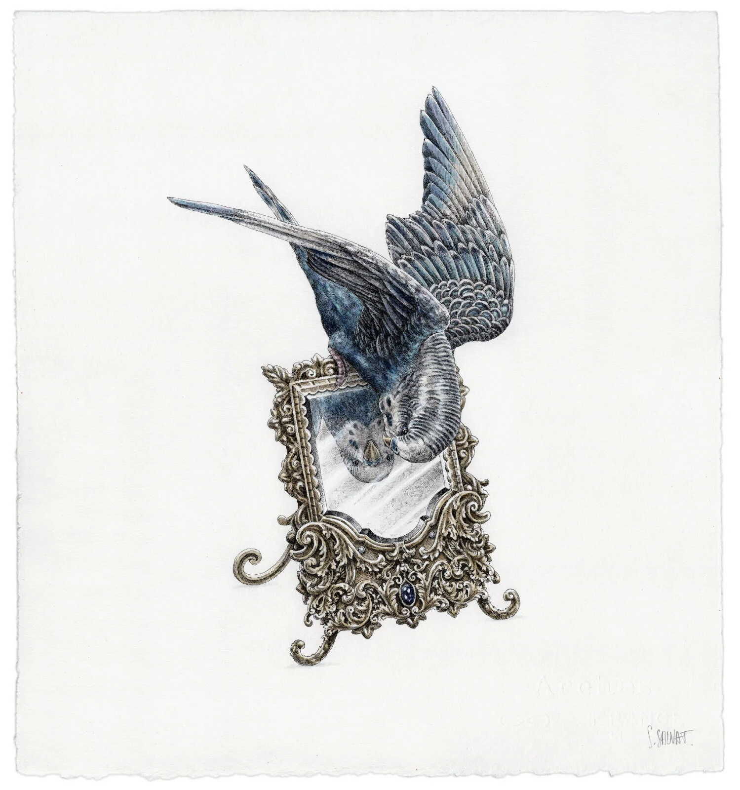 2020 — STEEVEN SALVAT
