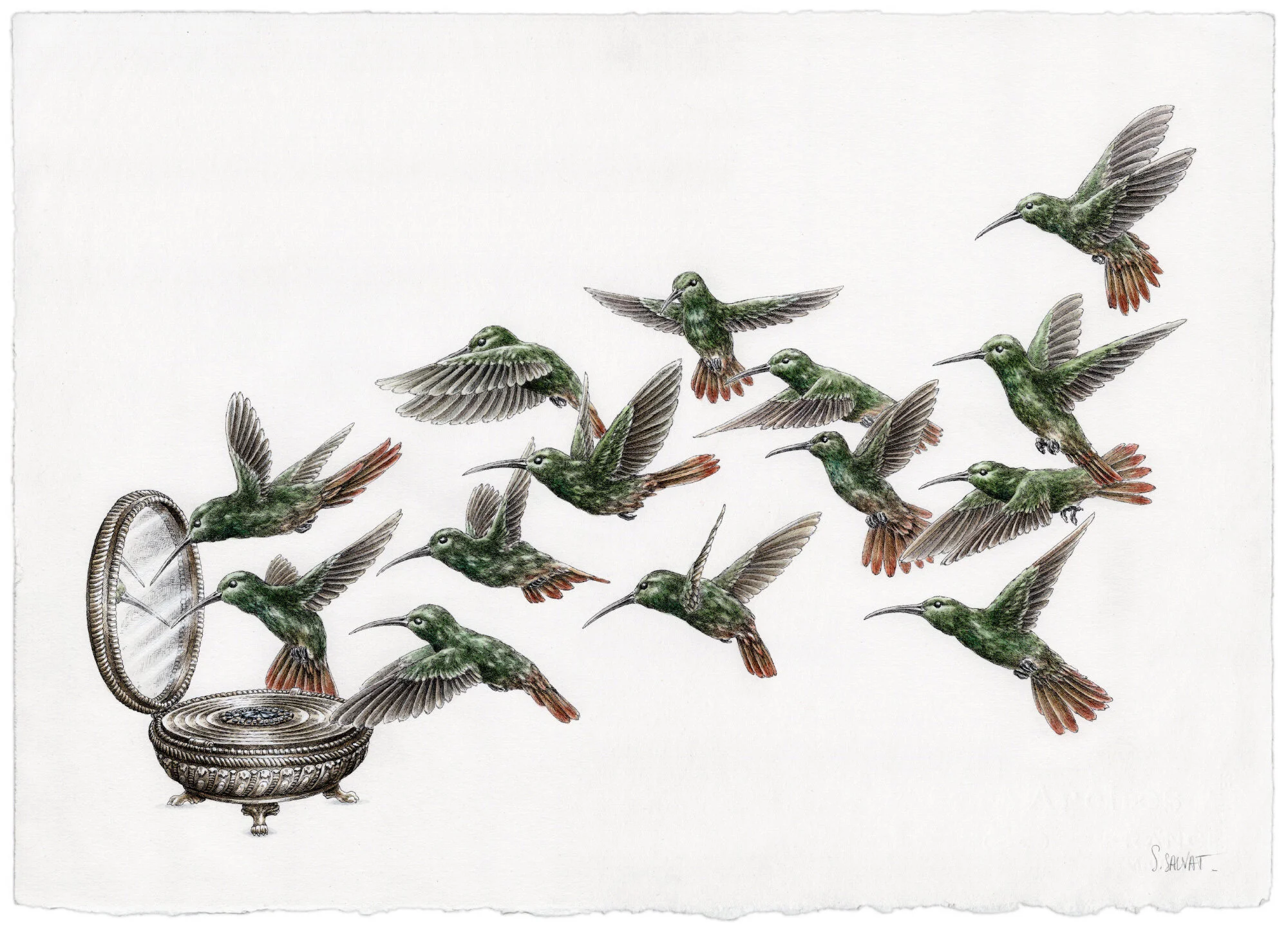 2020 — STEEVEN SALVAT