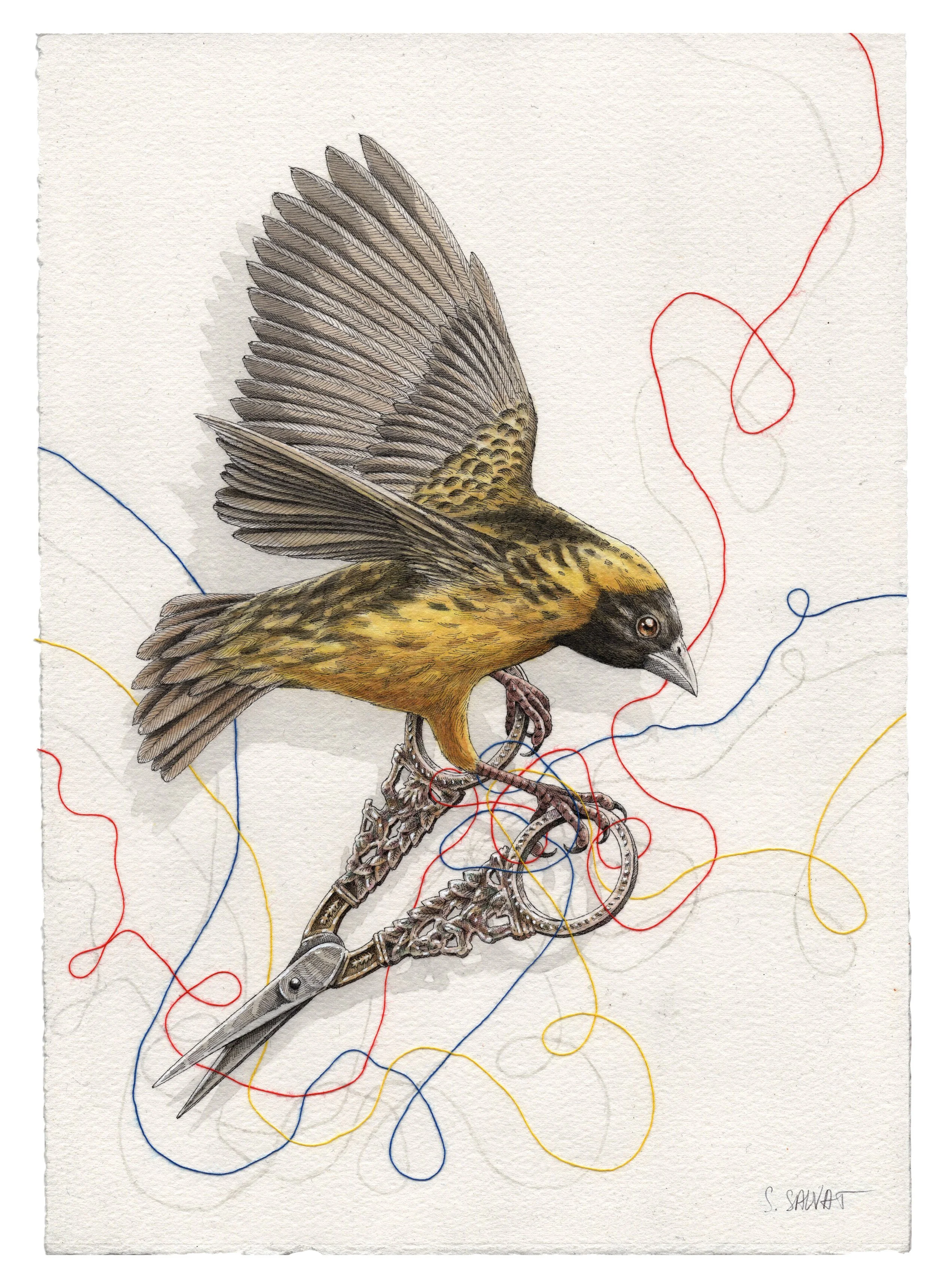2023 — STEEVEN SALVAT