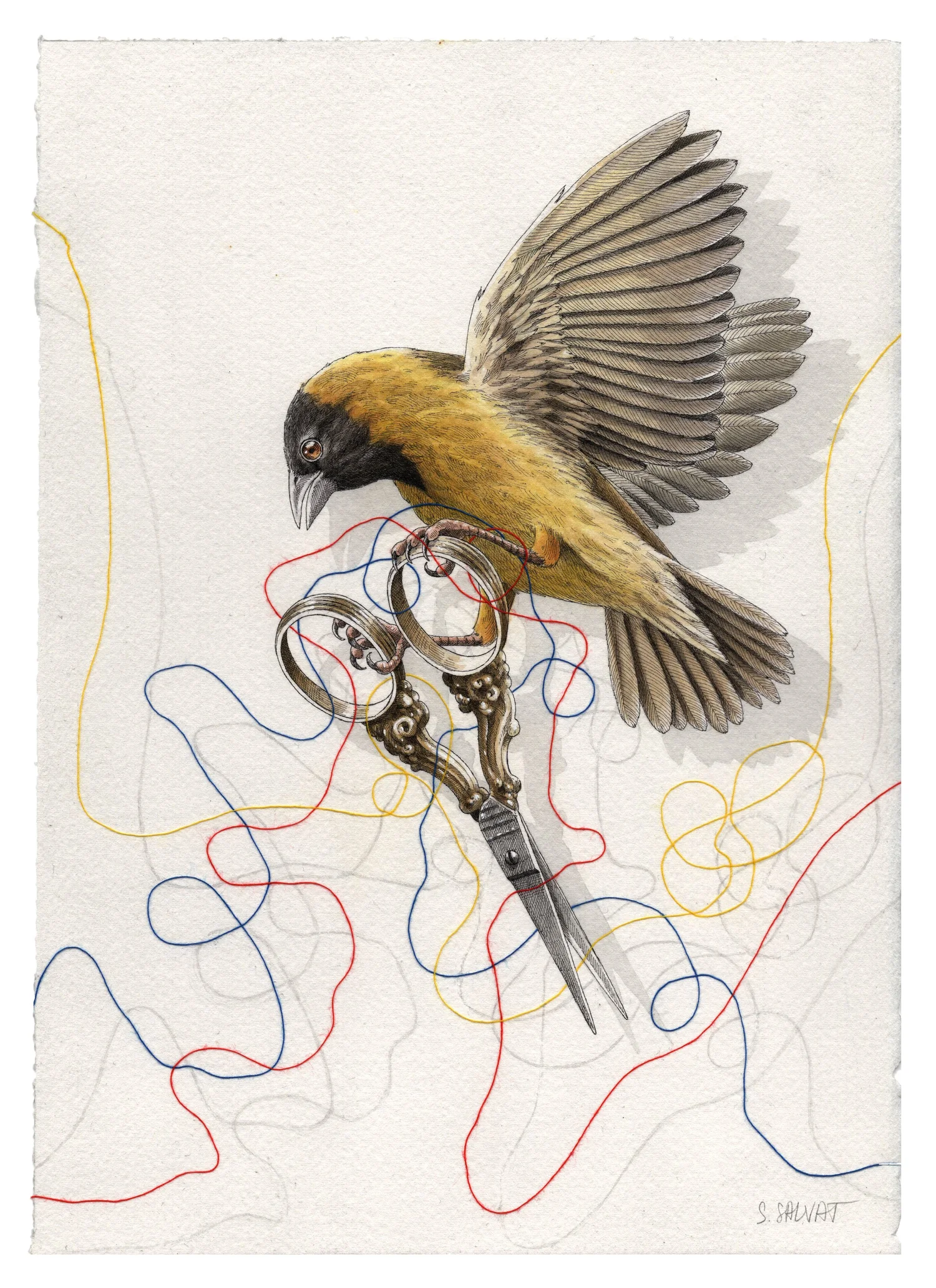2023 — STEEVEN SALVAT