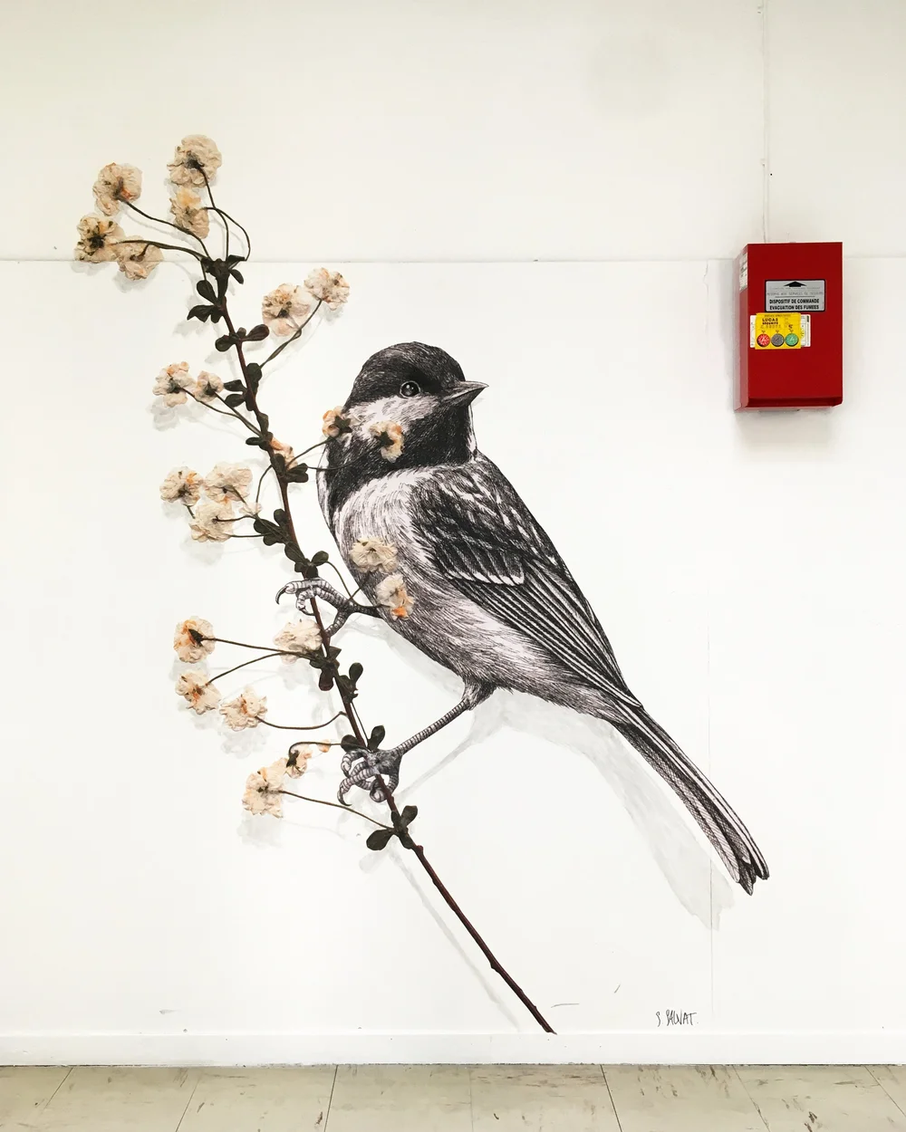 OUTDOOR — STEEVEN SALVAT