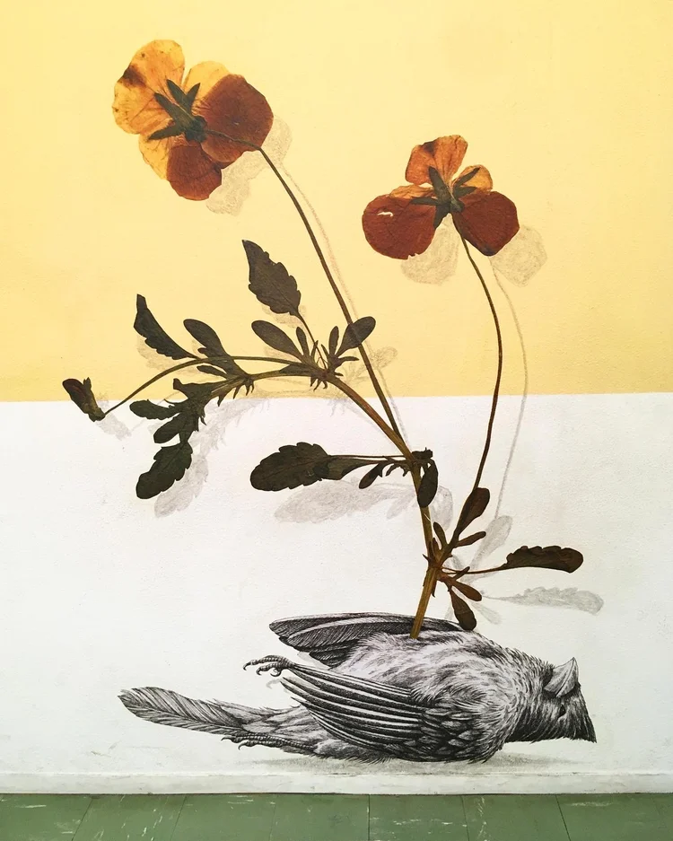 OUTDOOR — STEEVEN SALVAT