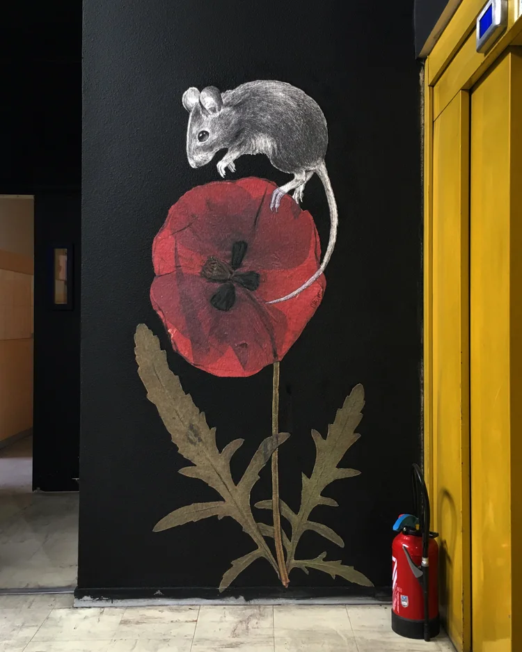 OUTDOOR — STEEVEN SALVAT