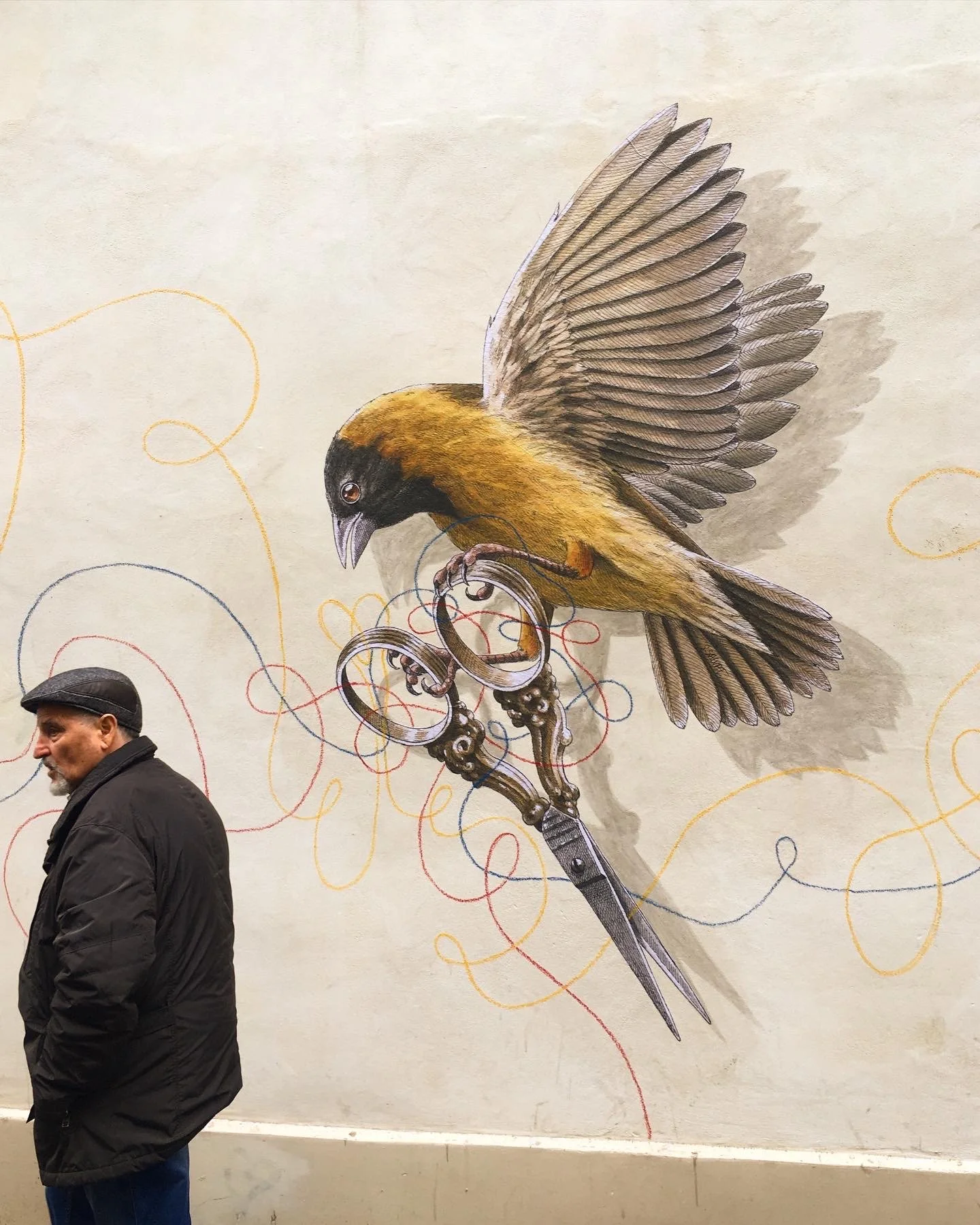 OUTDOOR — STEEVEN SALVAT
