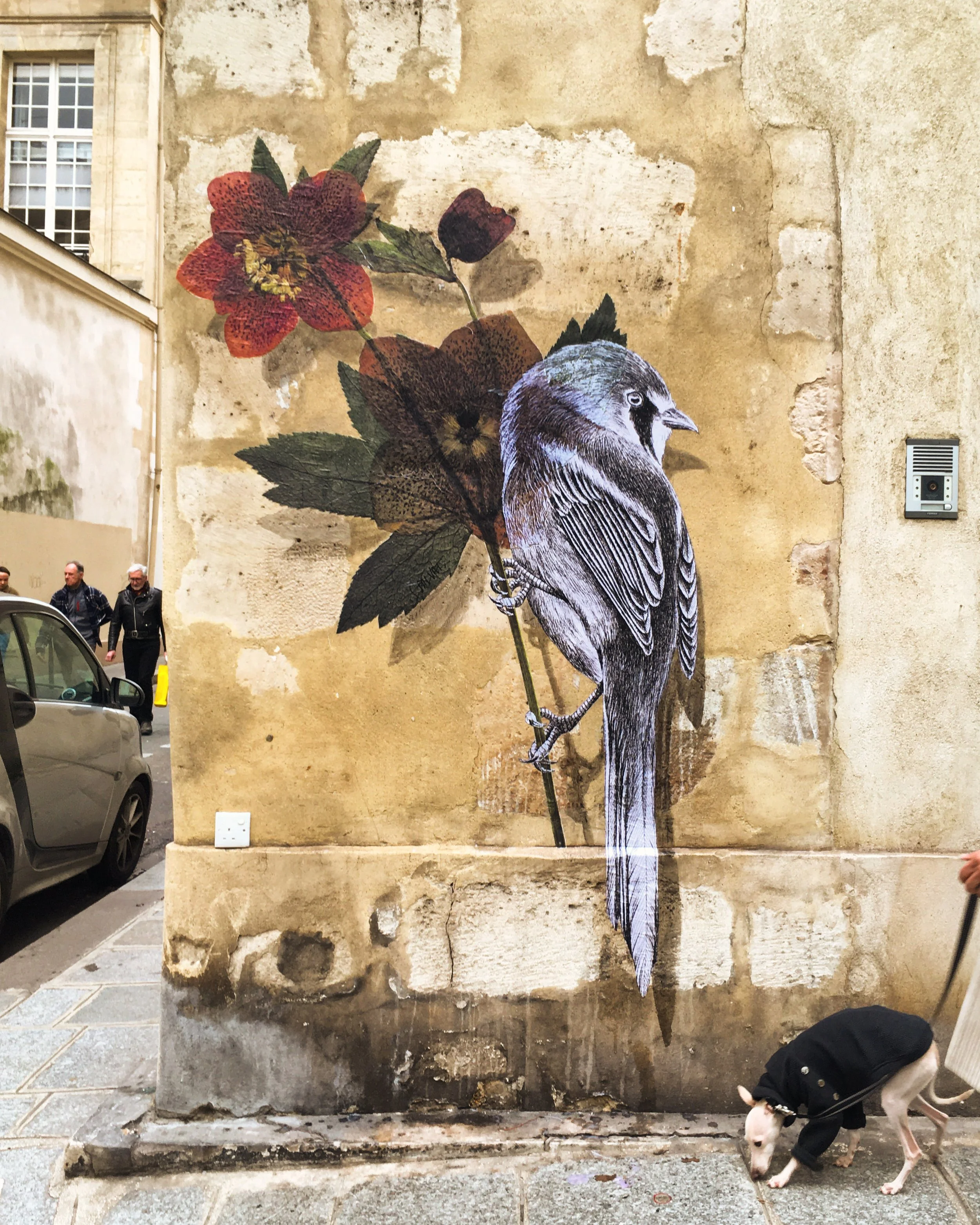 OUTDOOR — STEEVEN SALVAT