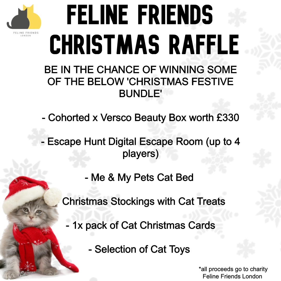 Latest News — Adopt a cat or foster a cat in London - Feline Friends London