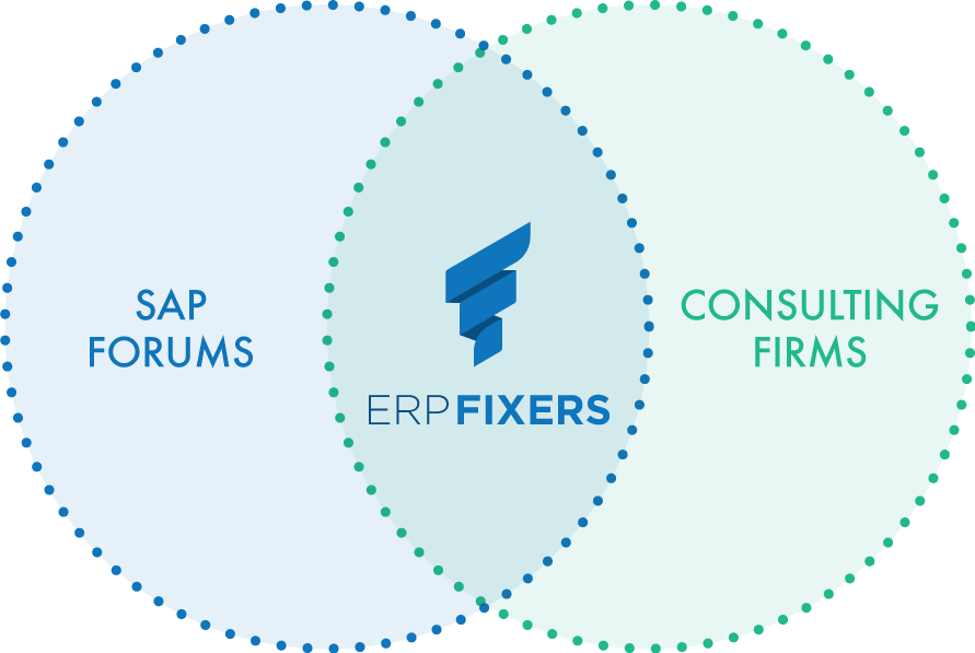 SAP Consultants | SAP Experts | On-Demand SAP Consulting & Help