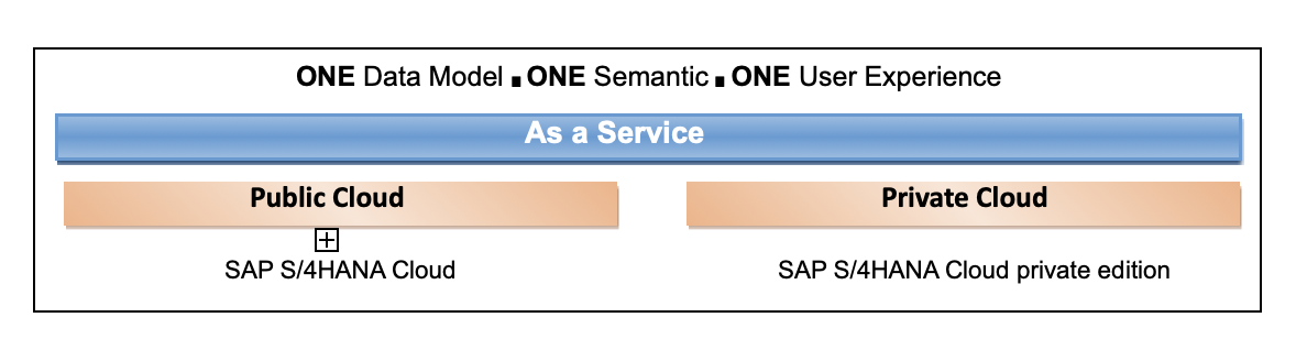 An Overview on Rise with SAP - SAPinsider